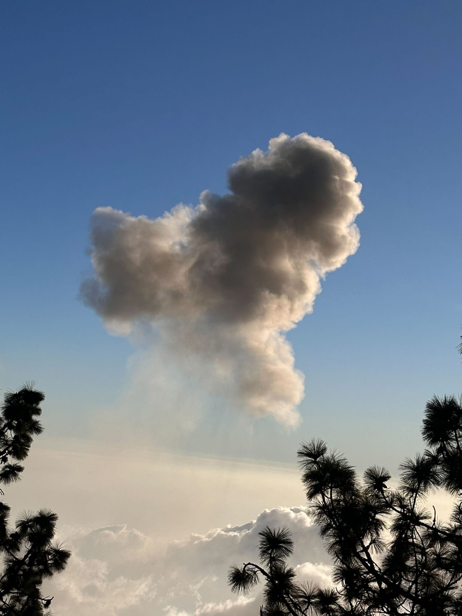 Sweb Development - Sweb Development | A Digital Agency